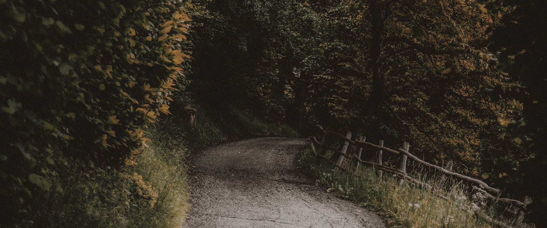 Angora - Professional Web Design & Development Agency